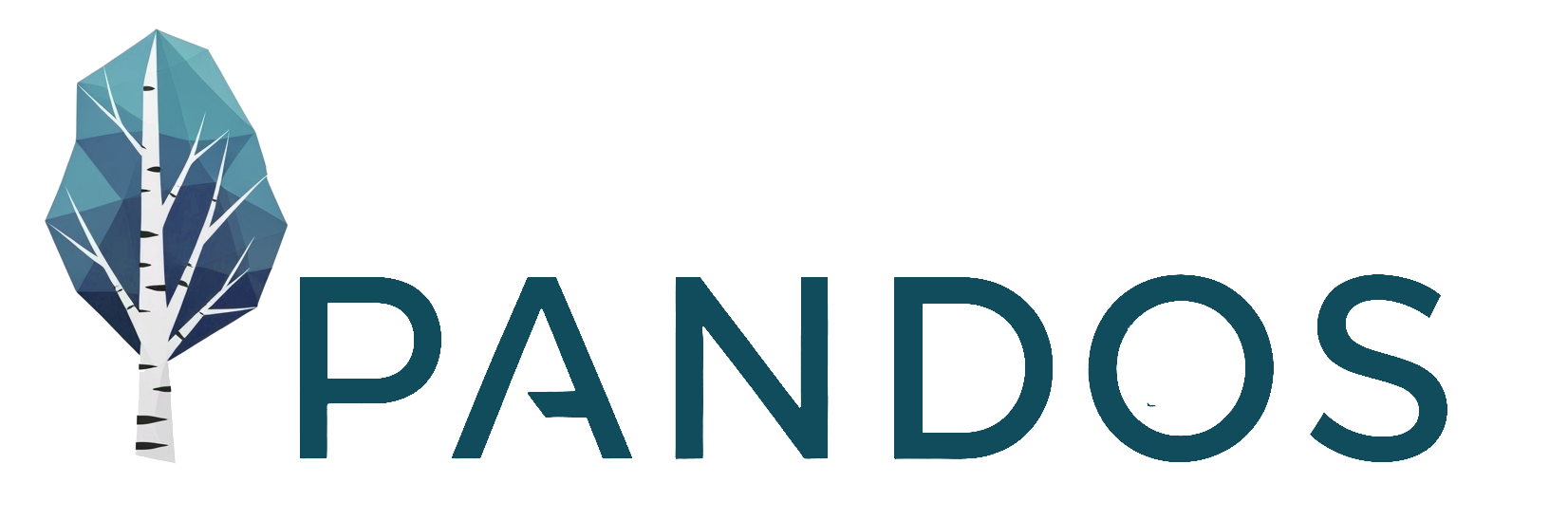 Pandos IT - Helping you focus on what matters most—your clients.